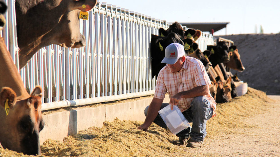 Results - Standard Dairy Consultants