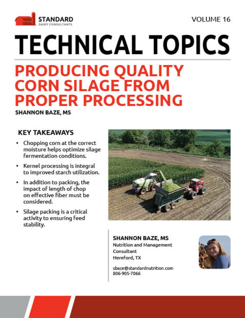 Producing Quality Corn Silage from Proper Processing - Standard Dairy ...